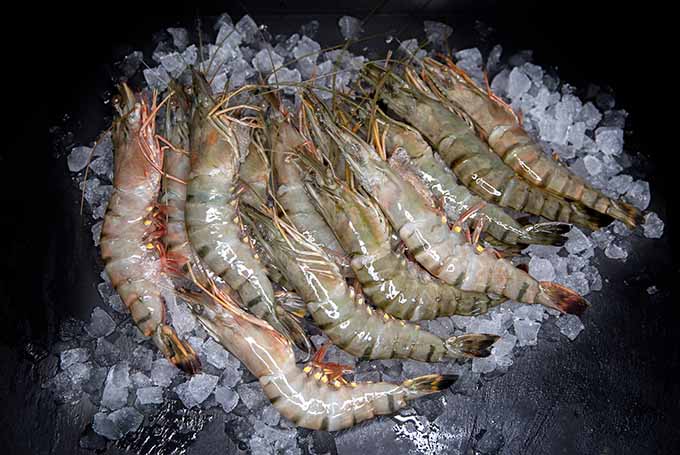 Verse Vis - StoerVlees.com